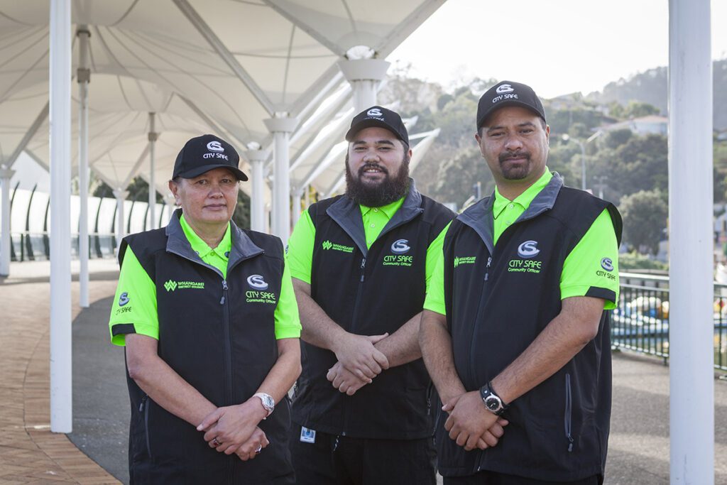 City Safe Ambassadors - Northern Districts Security